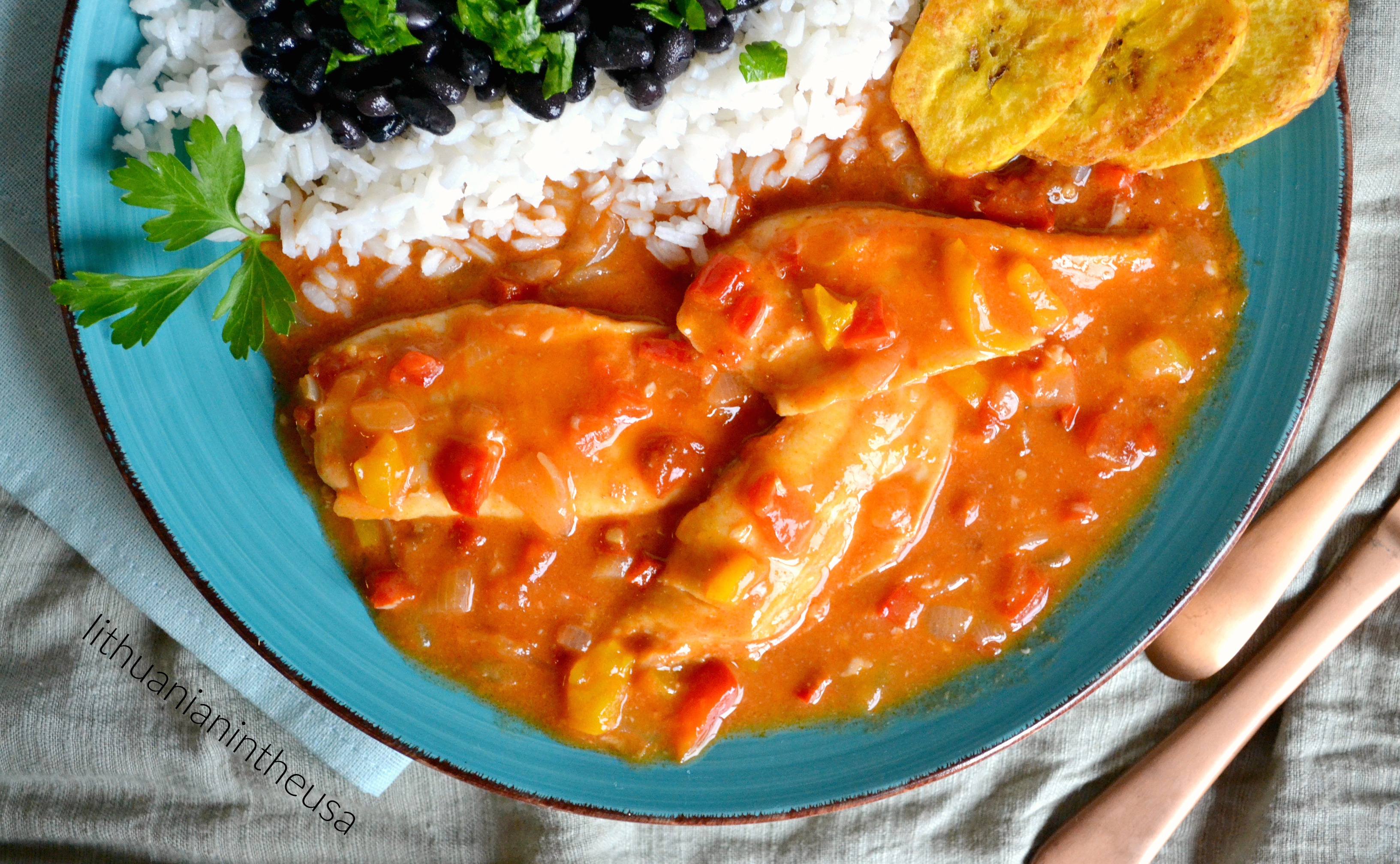 Ecuadorian Fish in Coconut Milk Sauce (Encocado de Pescado)/Žuvis ...